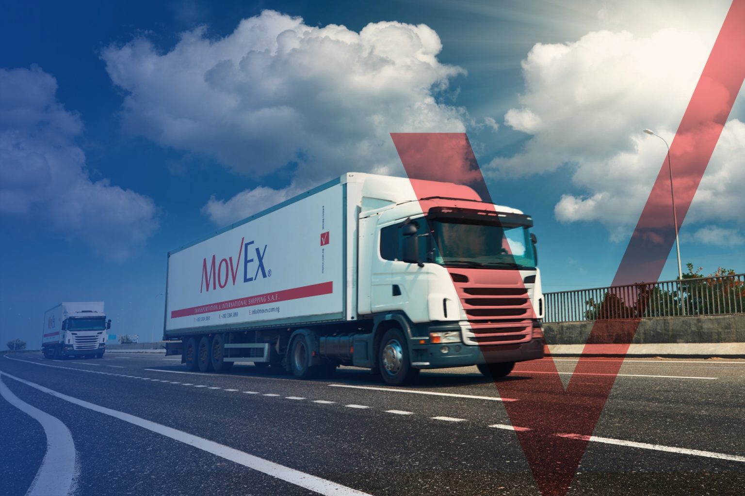 Home - Movex Moving forward locally and globally